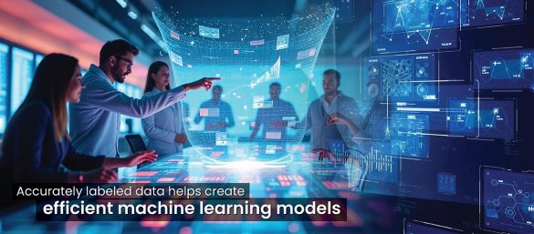 Data Annotation for ML Projects: 5 Best Ways to Label Data