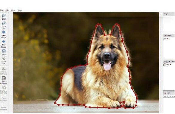 15 Best Image Annotation Tools and Solutions in 2026