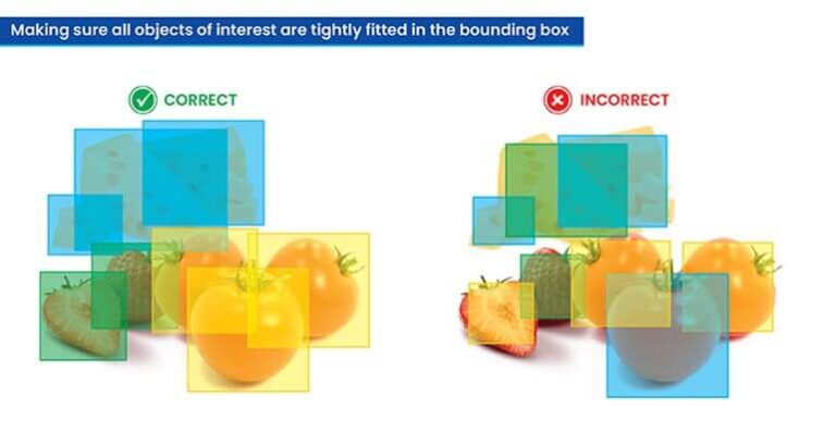 Why Bounding Box Annotation is Crucial: The Ultimate Guide
