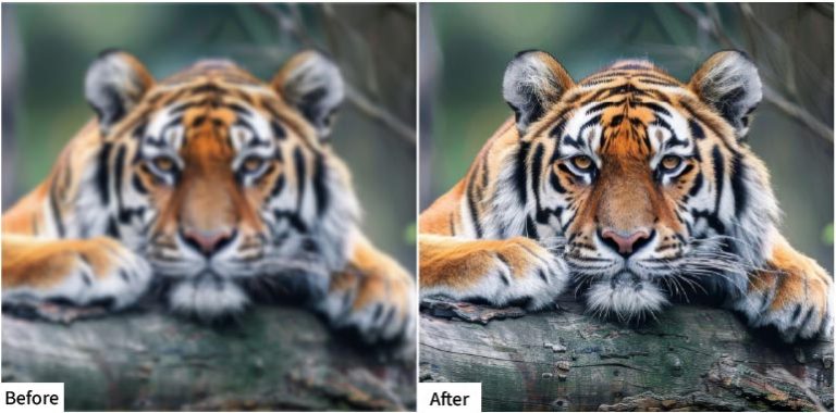 10 Tips for Capturing Better Photos to Simplify Editing Process