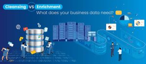 Data Cleansing or Enrichment: What Does Your Business Need?