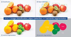 Semantic Segmentation: Definition, Techniques, Tools, Trends