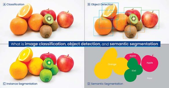 Semantic Segmentation: Definition, Techniques, Tools, Trends
