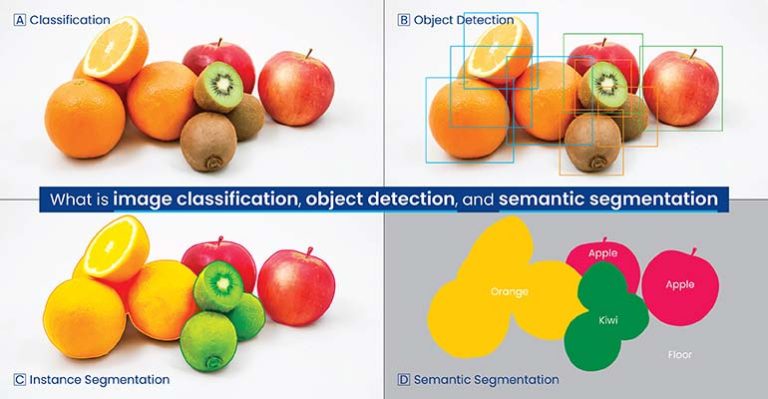 Semantic Segmentation: Definition, Techniques, Tools, Trends