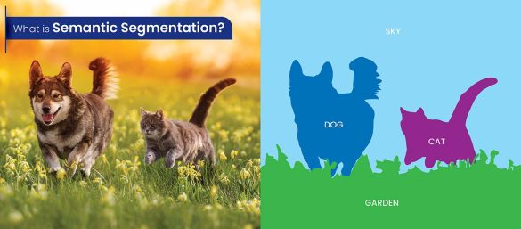 Semantic Segmentation: Definition, Techniques, Tools, Trends